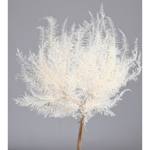 Mountain Fern Small 12" x 13" Bleached