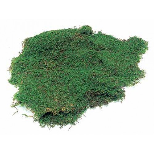 Sheet Moss Preserved