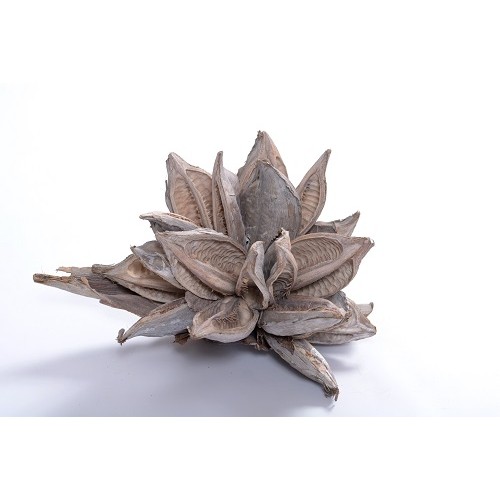 Star Pods Large 12-16"