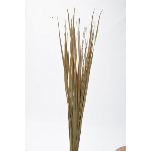 Sable Grass Natural